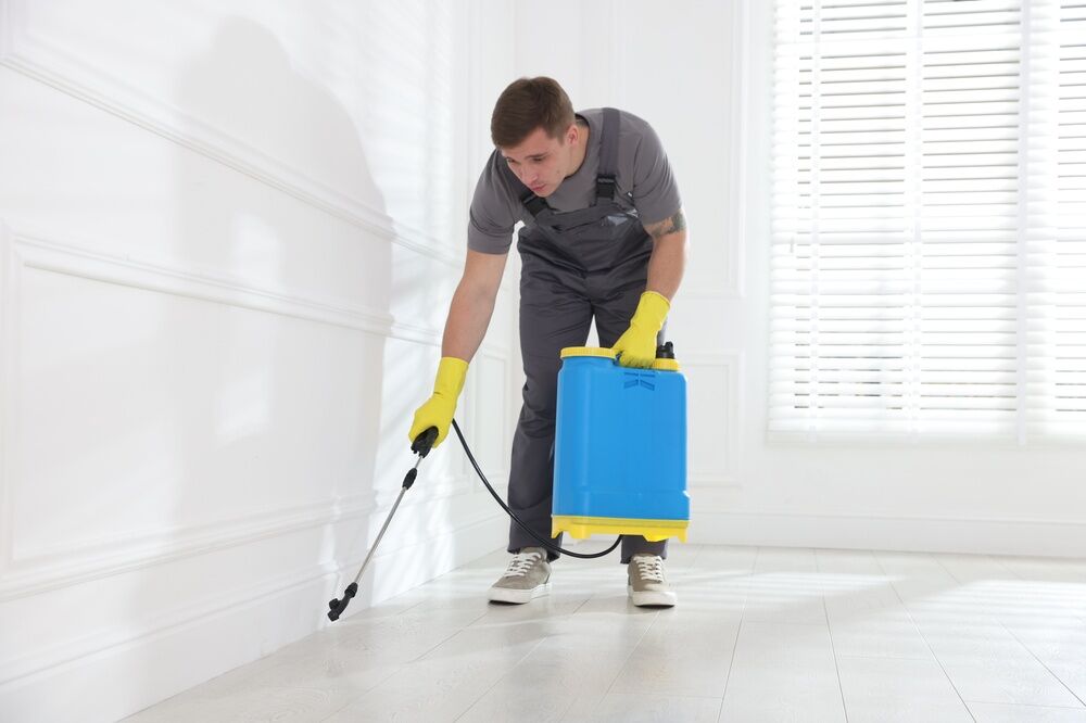 Best Pest Control & Exterminators in Markham | Quality Affordable Pest ...